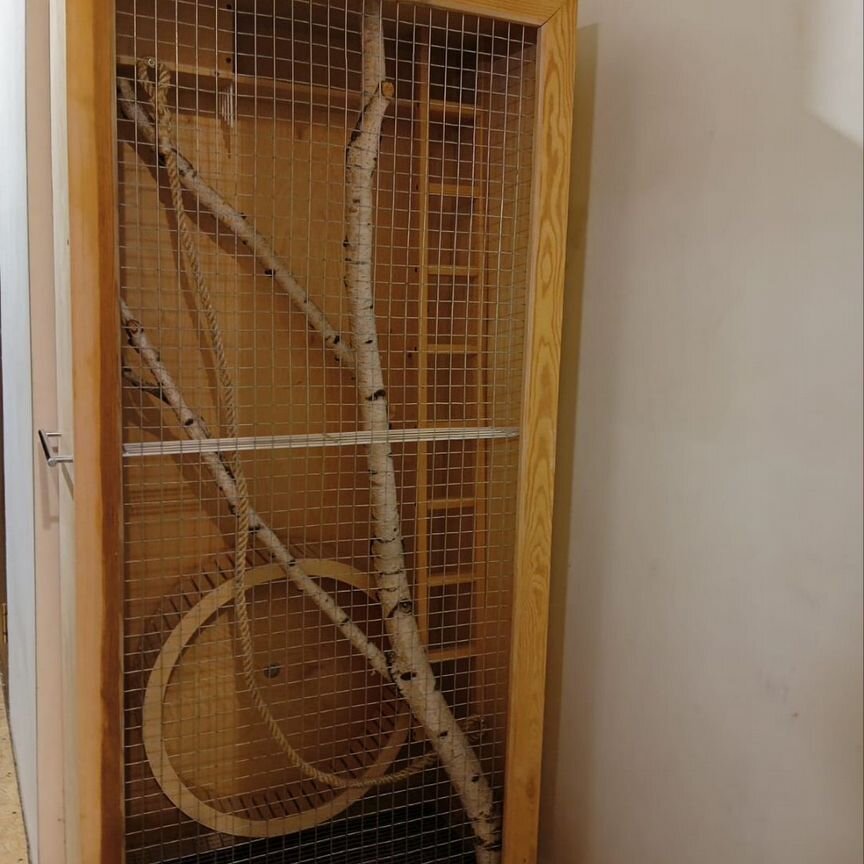 Беличья клетка