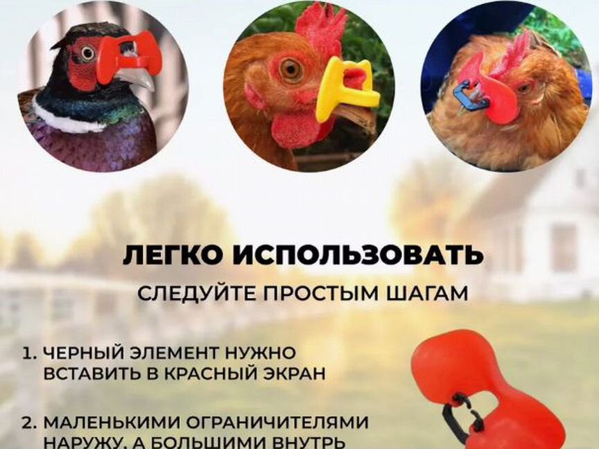 Очки от расклева птиц: кур,петухов, фазанов