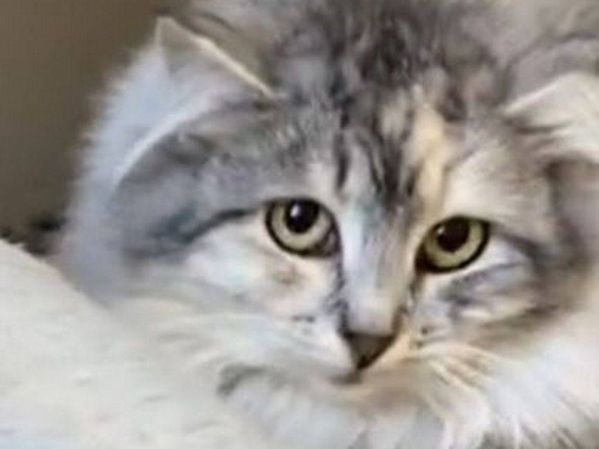 Никто не любит