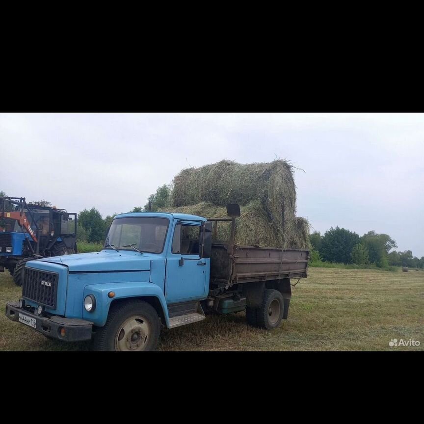 Сено в тюках