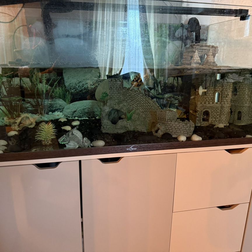 Аквариум 350 литров с черепахами