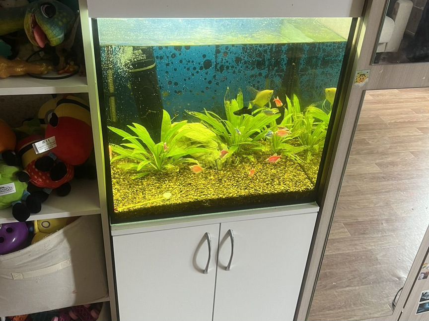 Продам 2 аквариума