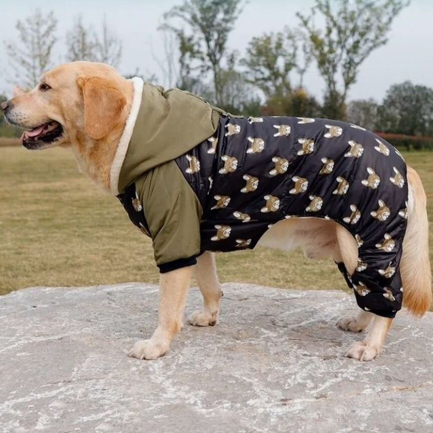 Одежда для крупных собак зима