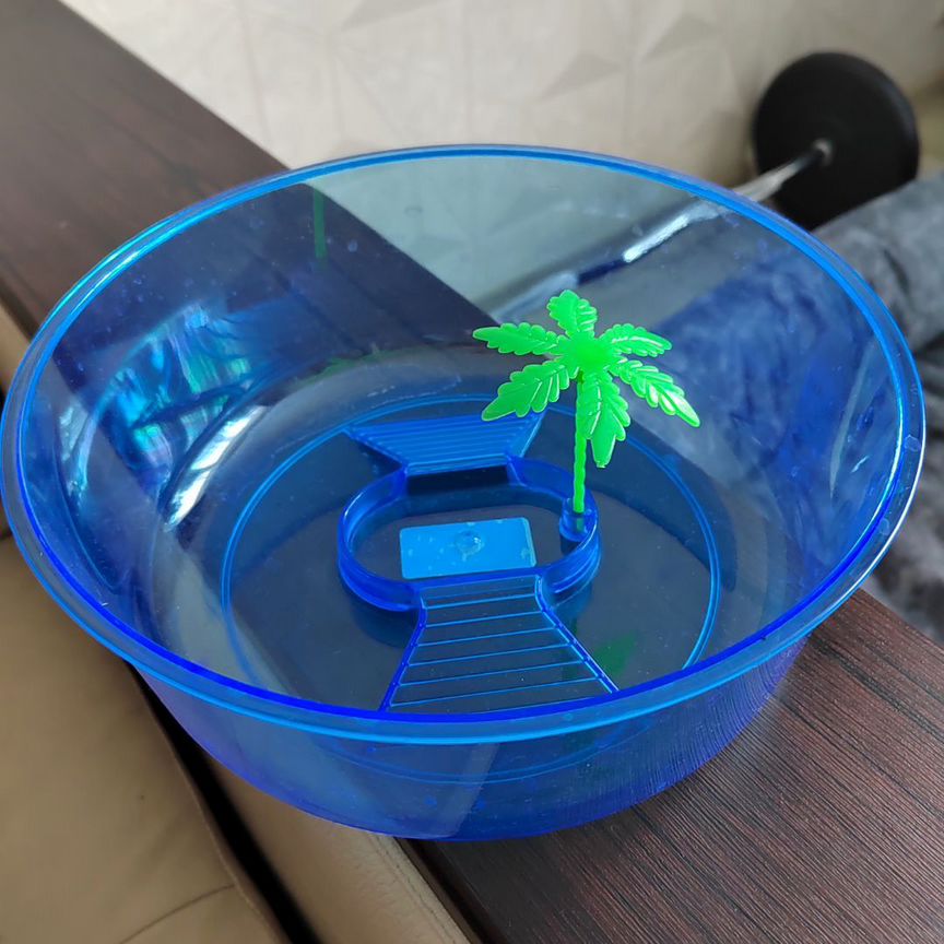 Террариум для черепах