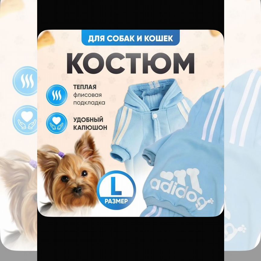 Вещи для собачки маленькой породы