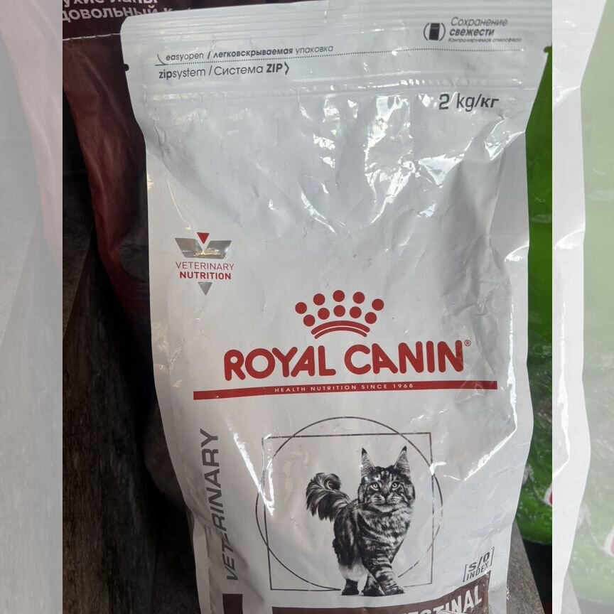 Корм для кошек