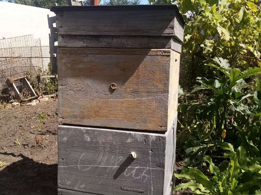 Улья дадан, и сопутствующие товары