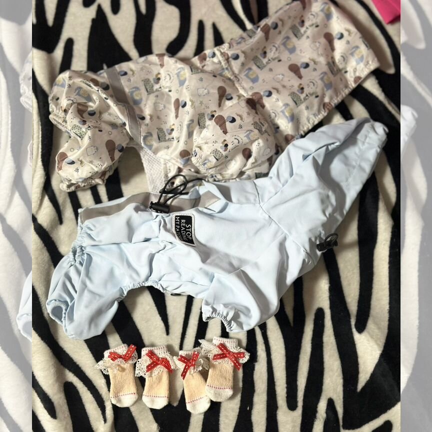 Одежда для собак