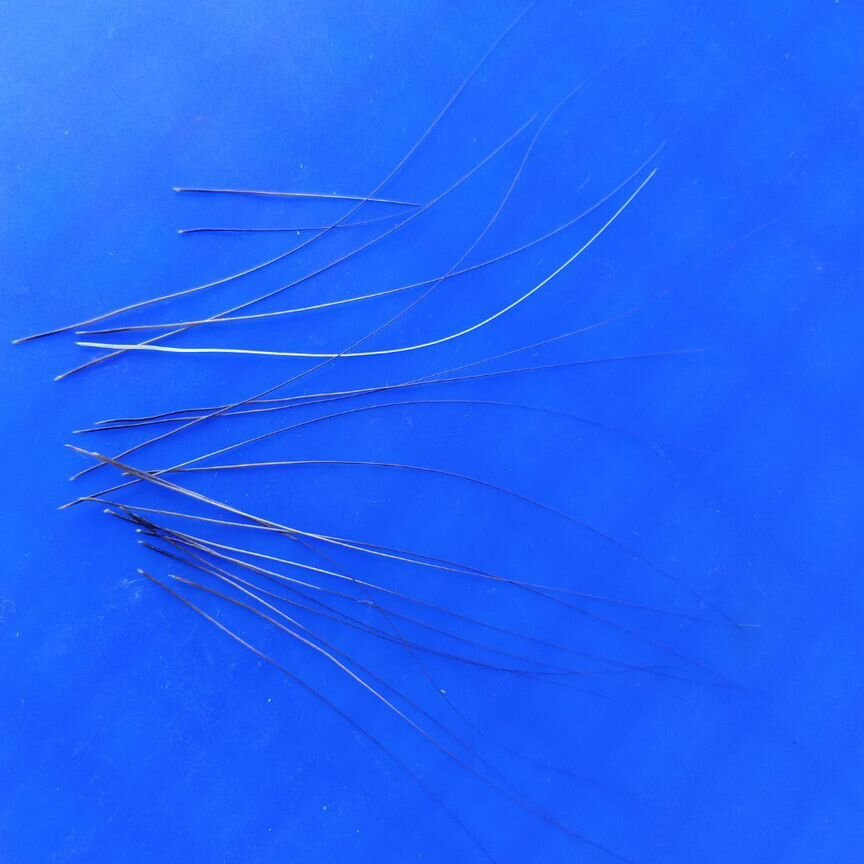 Кошачьи усы