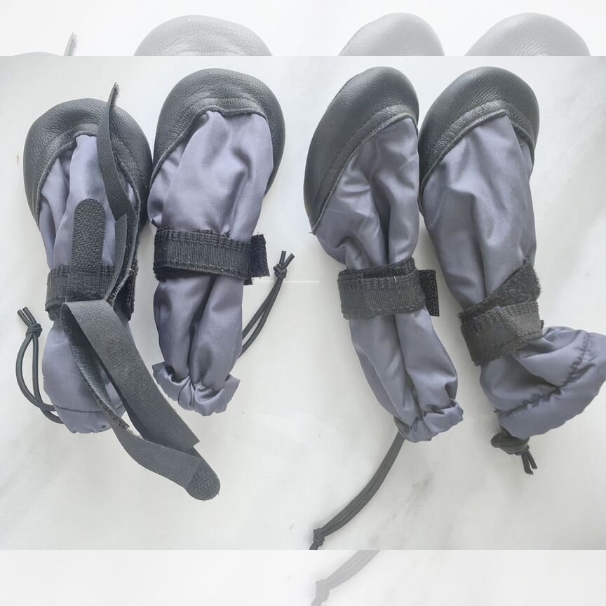 Ботинки для собаки