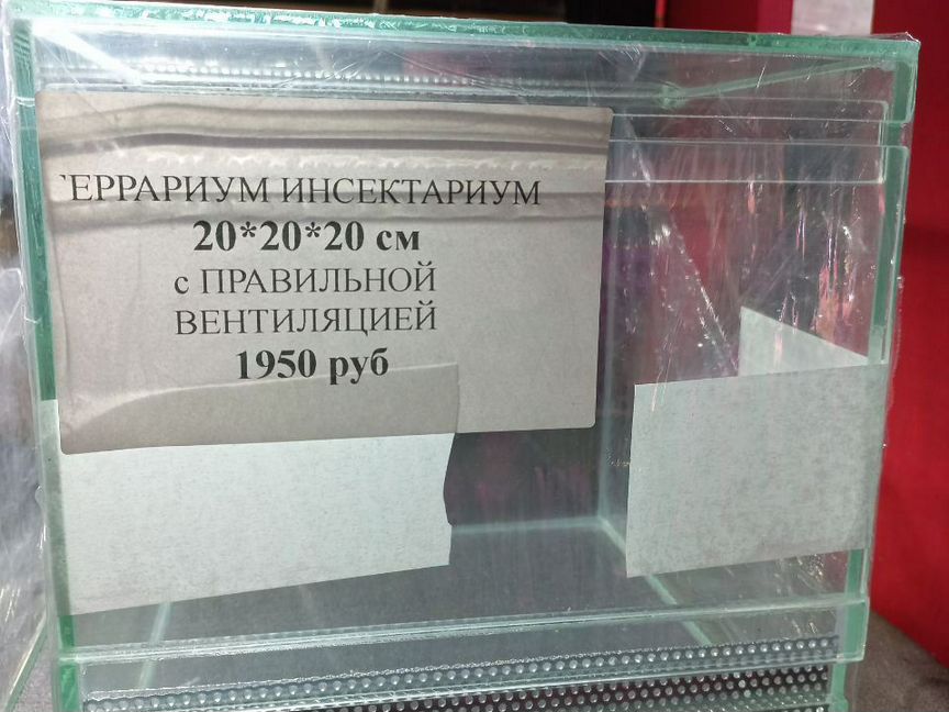 Террариум-паучатник правильная вентиляция