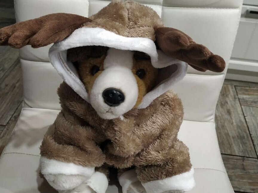 Комбинезон для маленькой собаки