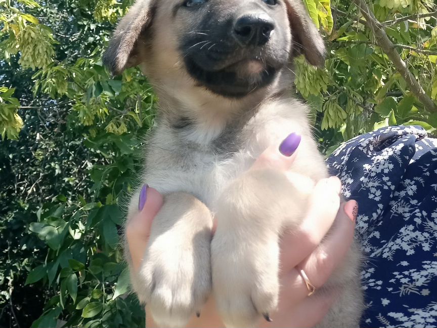 Девочка-красотулька,2 мес