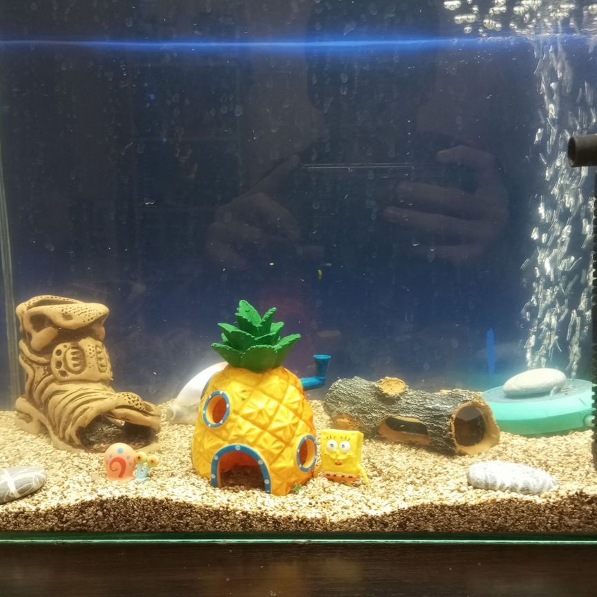 Аквариум 45л