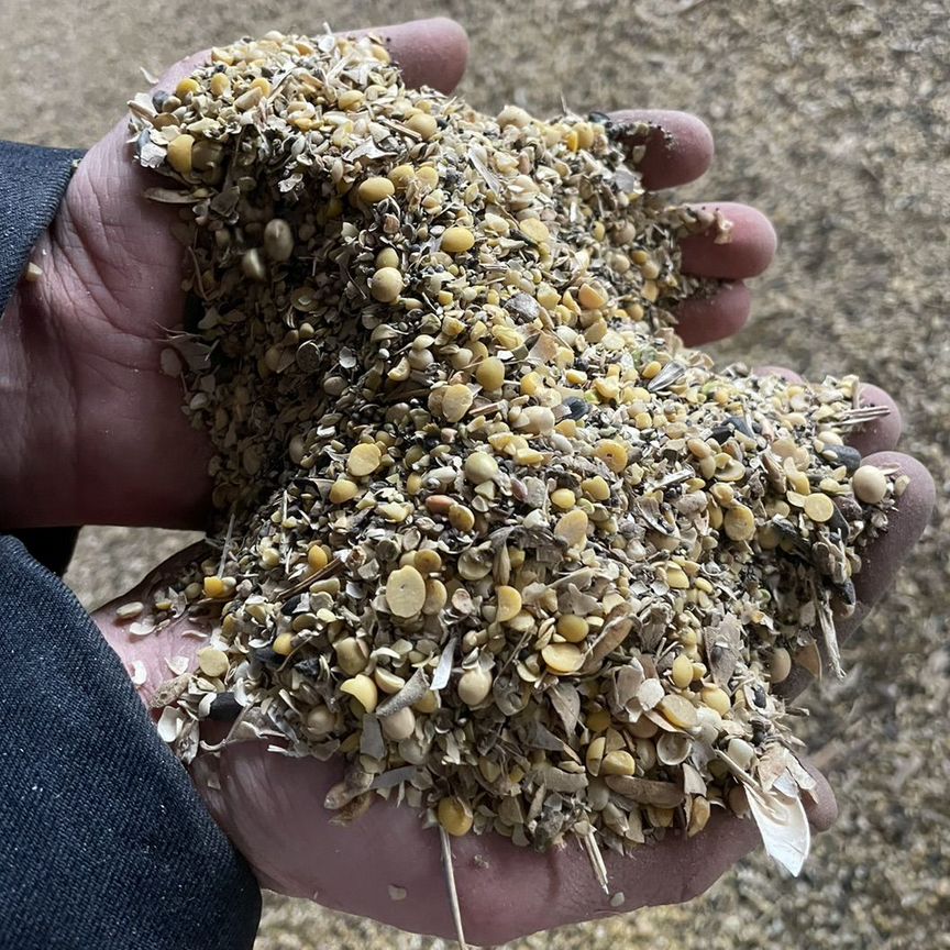 Продам вторые сорта и сечку сои