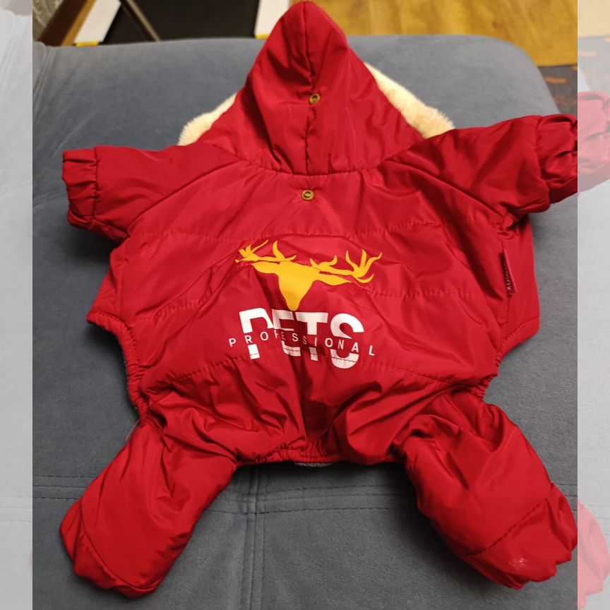 Одежда для маленьких собак м