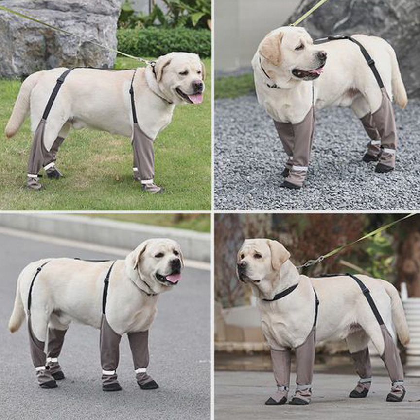 Обувь для собак на подтяжках