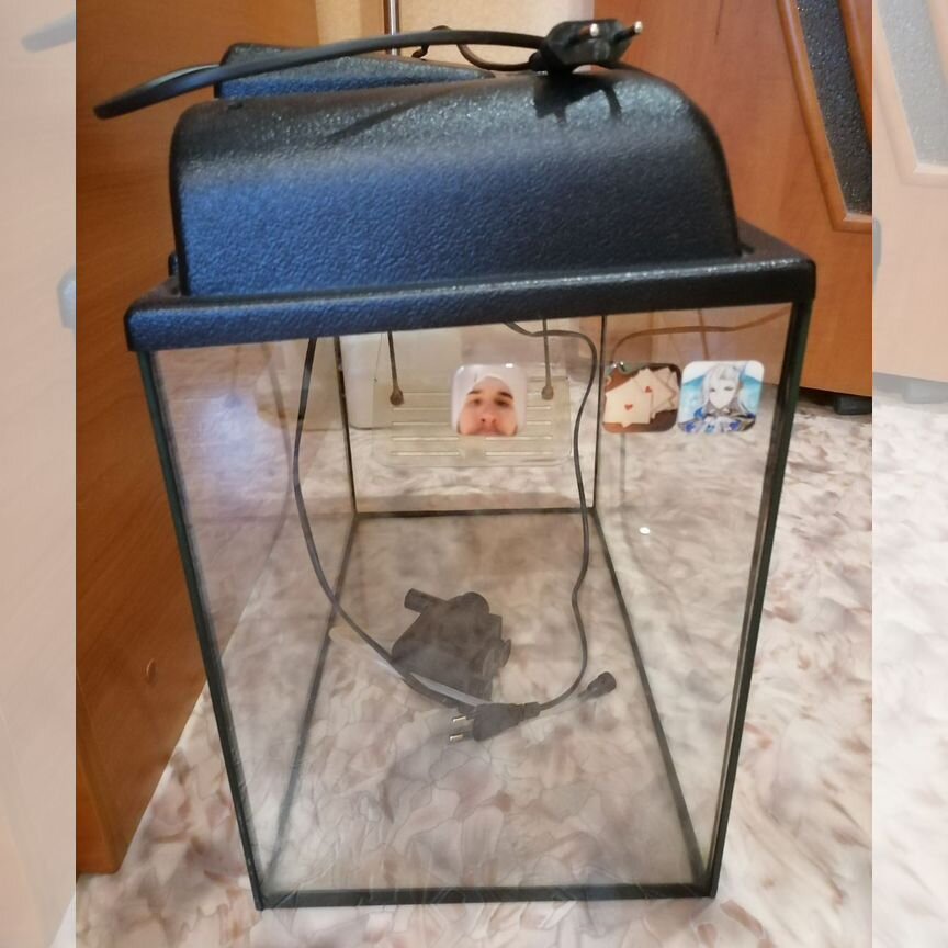 Аквариумные рыбки