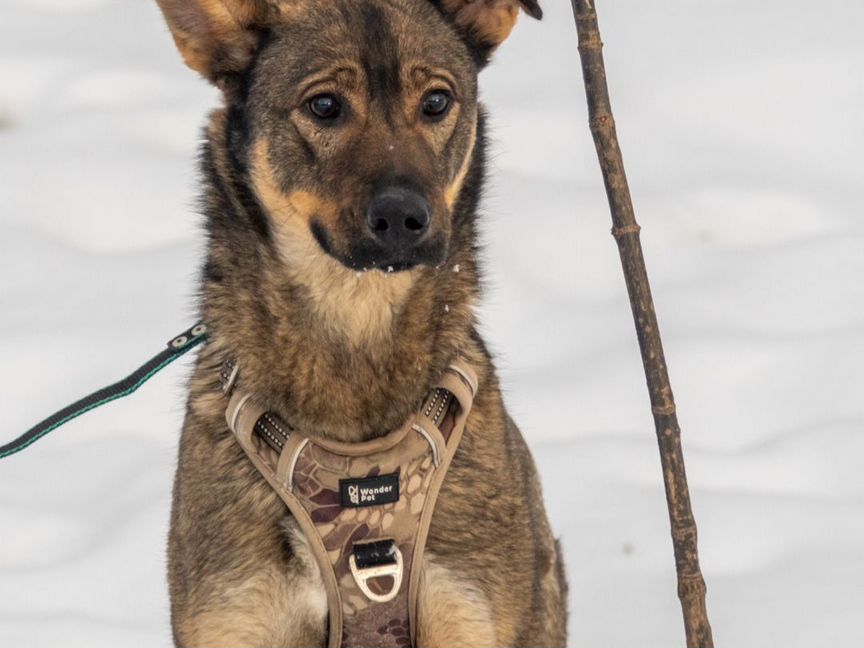 Маленькая напуганная Лили из приюта