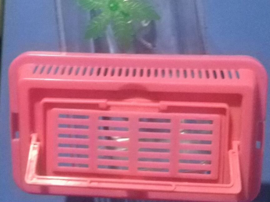 Переноска контейнер для черепах