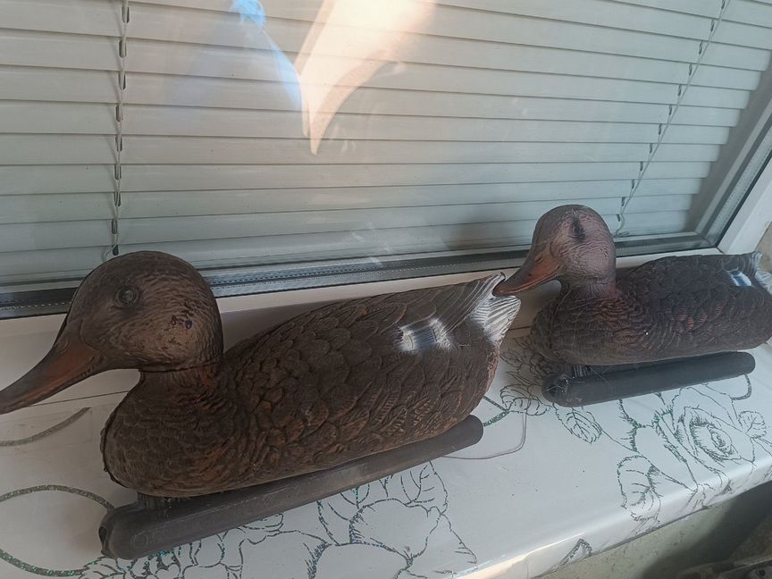 Утки подсадные для охоты