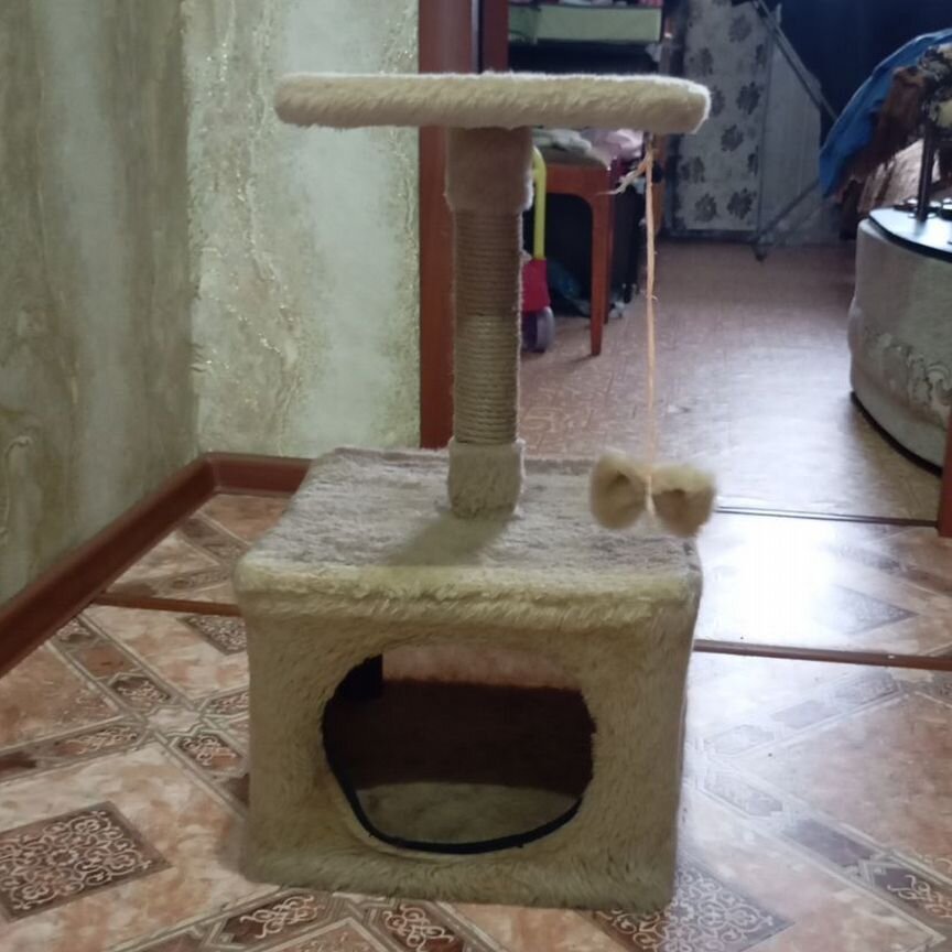 Когтеточка,домик