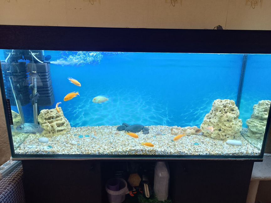 Аквариум с рыбками 320 литров