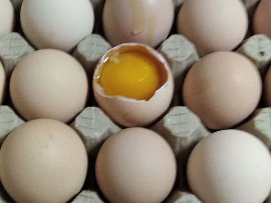 Яйца