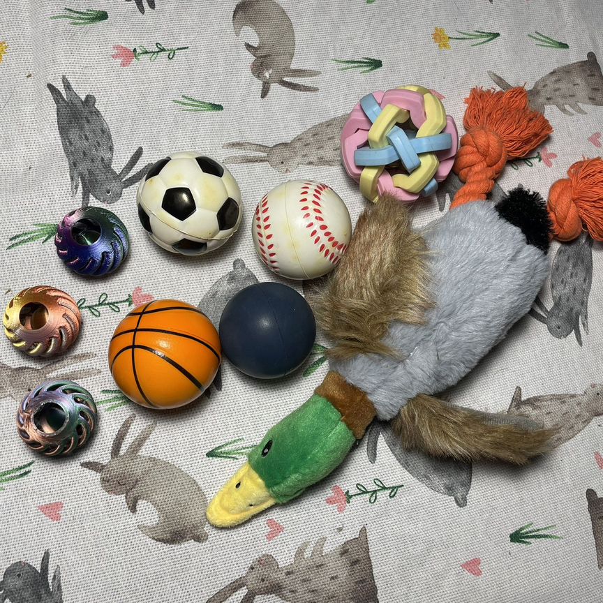 Игрушки для собак