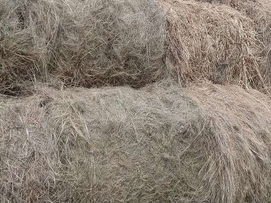 Сено в рулонах 2023.Обмен