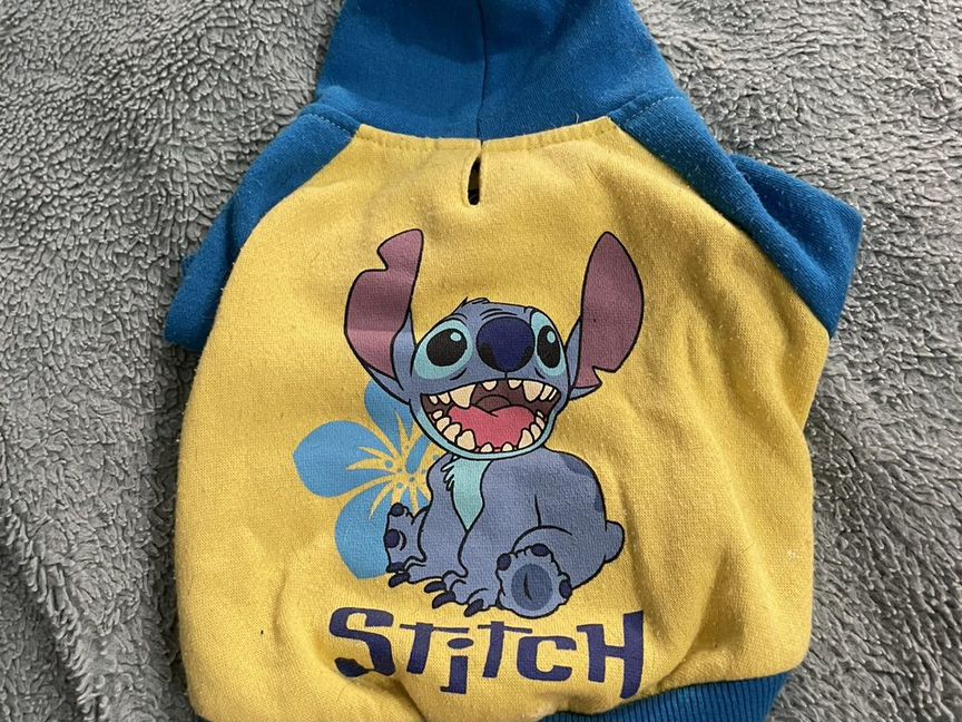 Одежда для собак