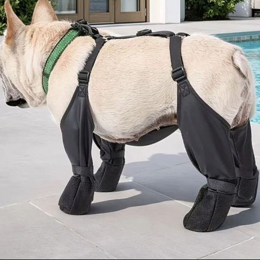 Обувь для собак средних пород