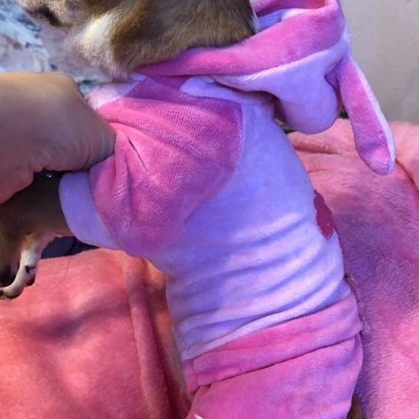 Костюм зайка xs