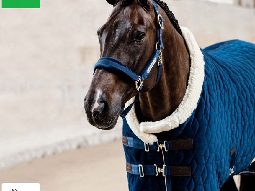 Попона Kentucky Show Rug Velvet