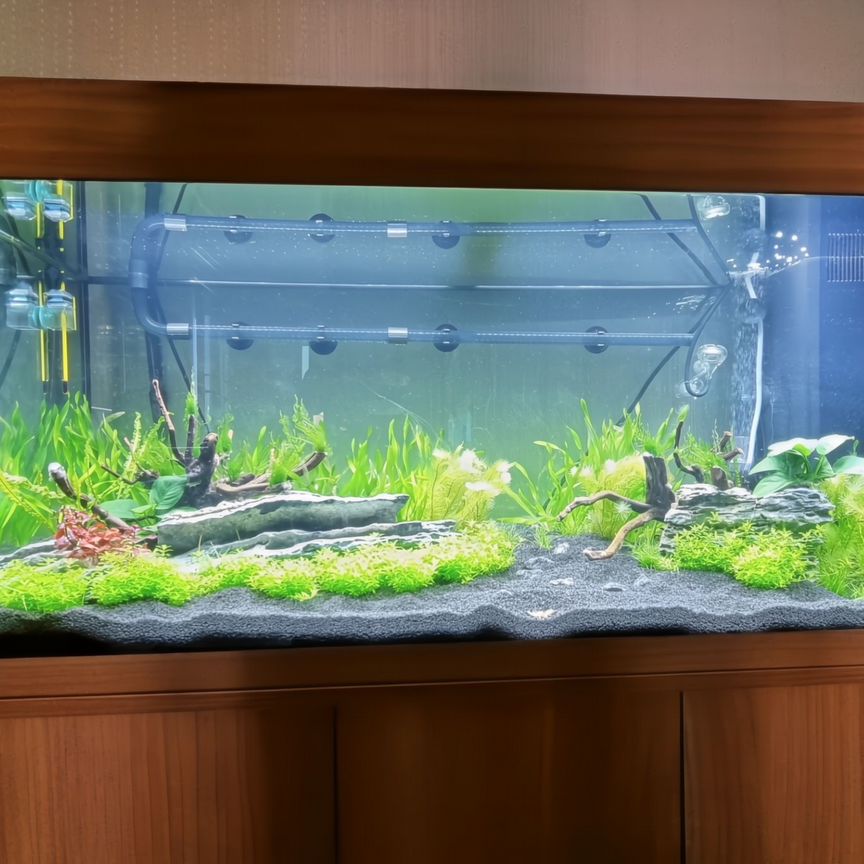 Аквариум juwel 180 (5001010410)