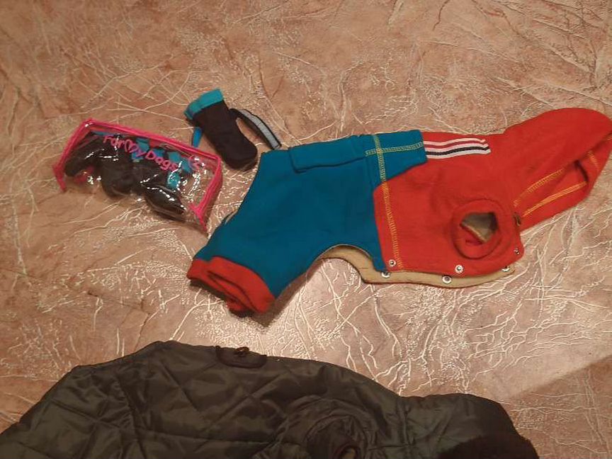 Одежда для маленьких собак