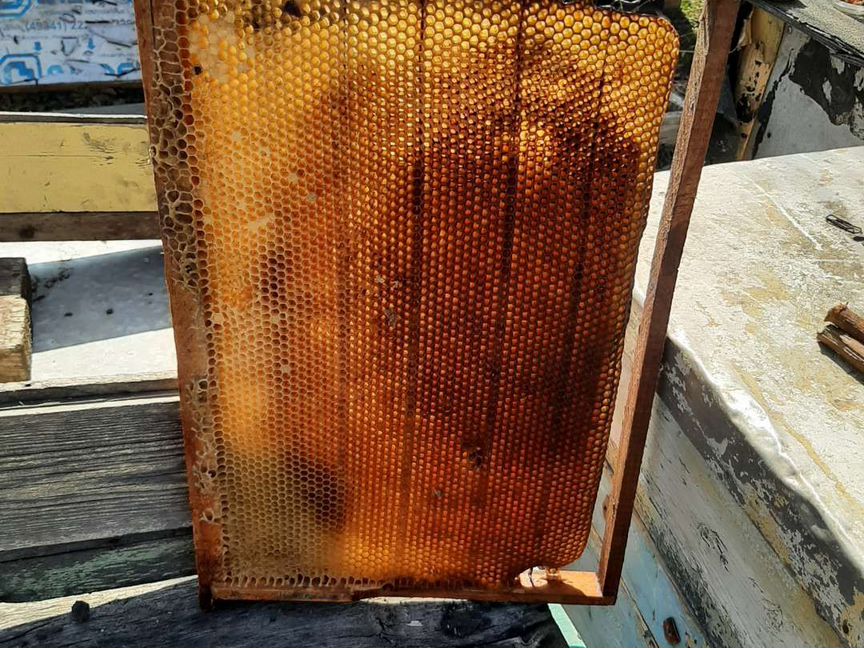 Рамки для ульев сушь