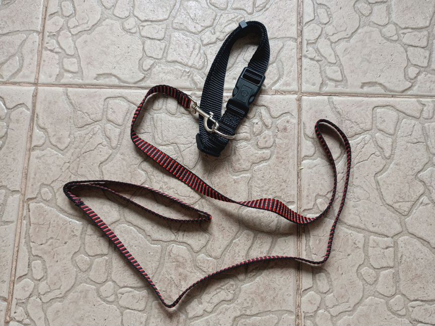 Новый Ошейник с поводком