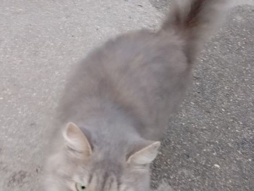 Я потерялась