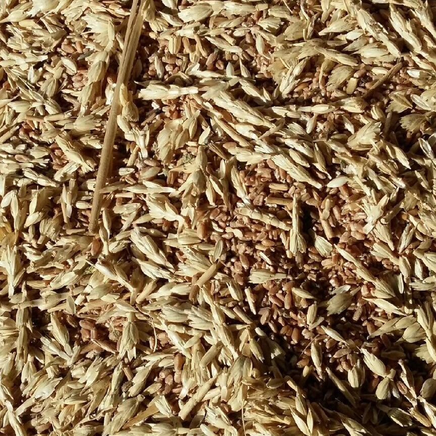 Зерноотходы пшеничные