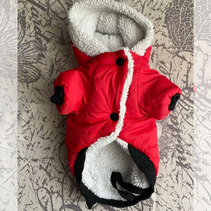 Одежда для маленьких собак