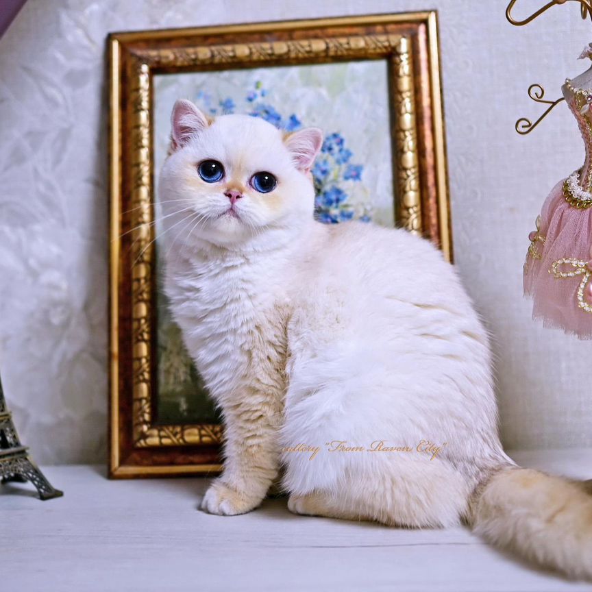 Британская золотая золотая