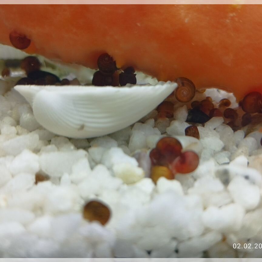 Продам улиток катушек