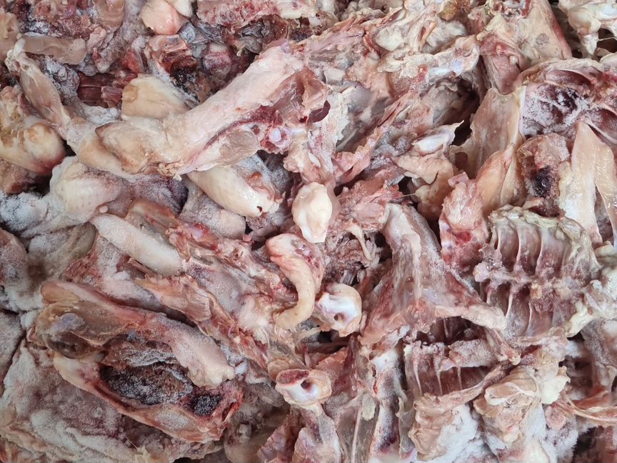 Хрящики кур.хребты куриные