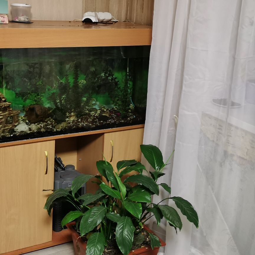 Аквариум с тумбой 200 литров