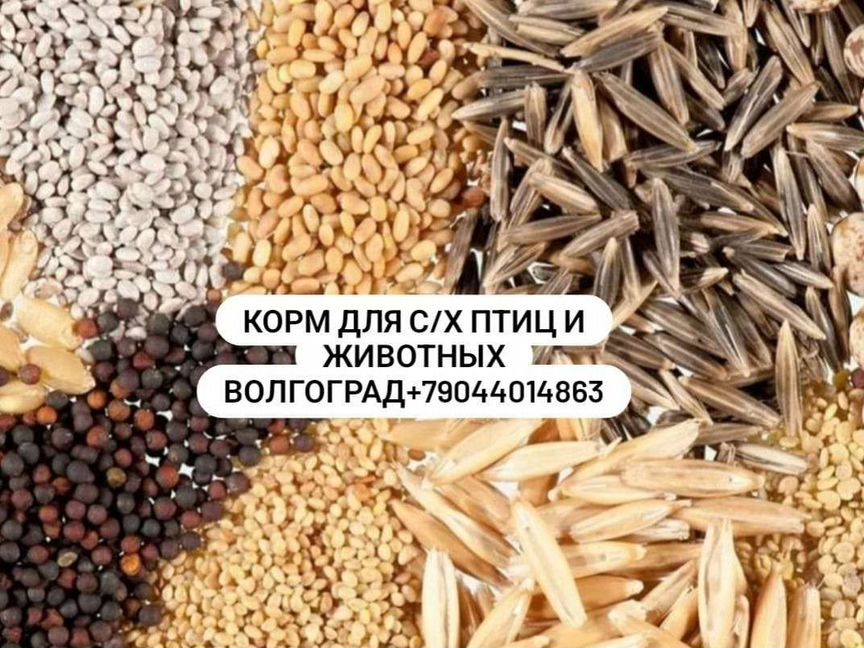 Корма для С/Х животных и птиц. доставка