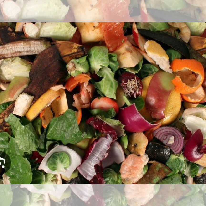 Пищевые отходы для животных