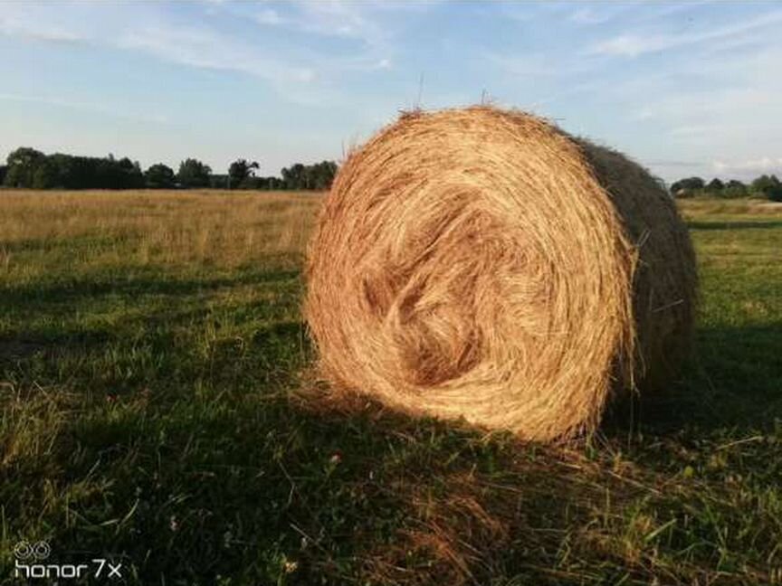 Сено степное в рулонах
