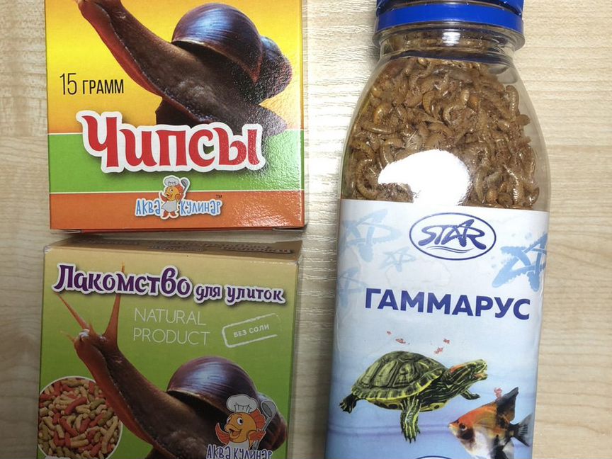 Лакомства для рептилий и улиток ахатин