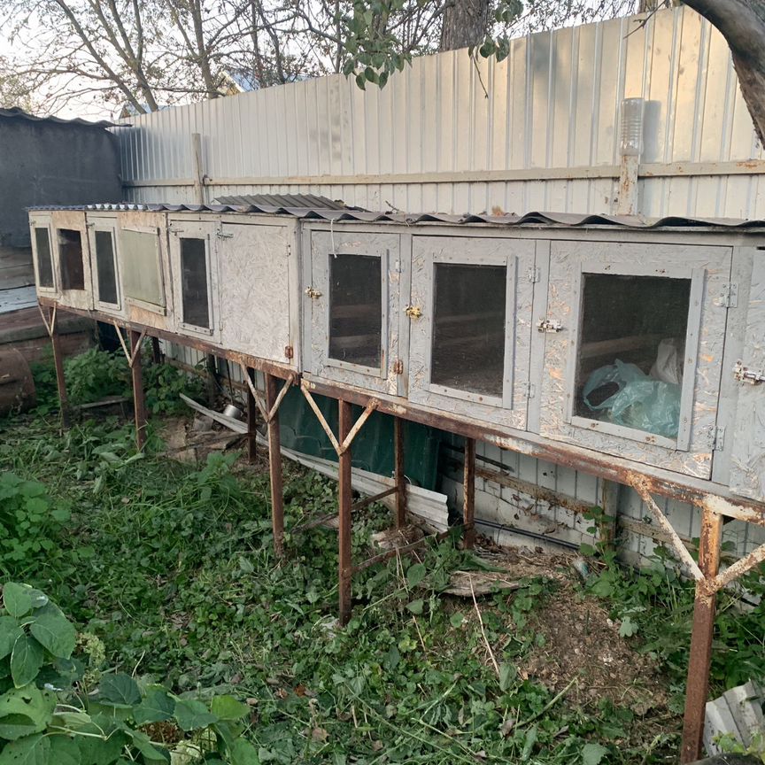 Крольчатник